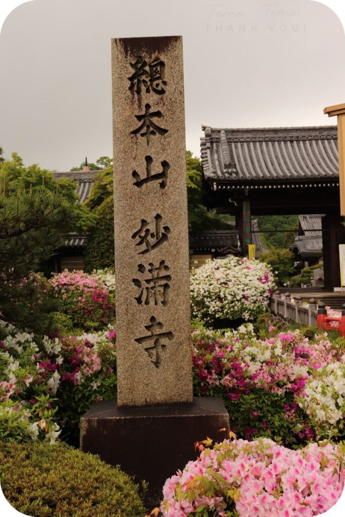 妙満寺に眠る「安珍・清姫伝説」と道成寺の鐘 | 京の静寂、歴史の吐息｜京都の社寺と偉人の物語